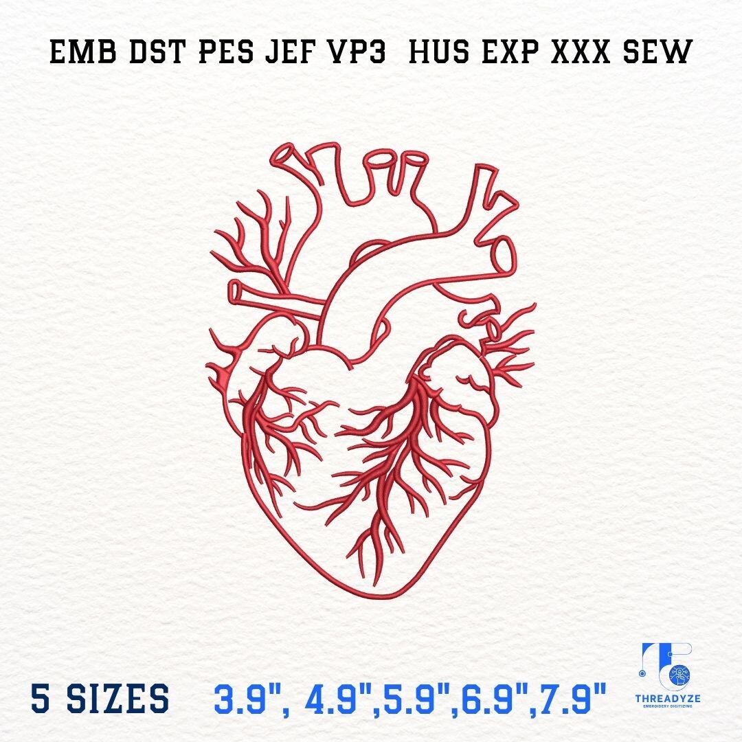 Anatomical Heart Line Art Embroidery Design | Human Heart Outline ...