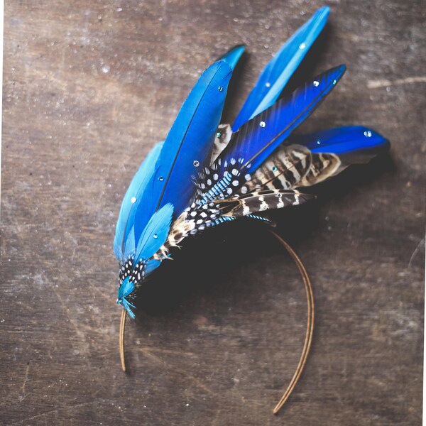 Bird Headdress - Etsy