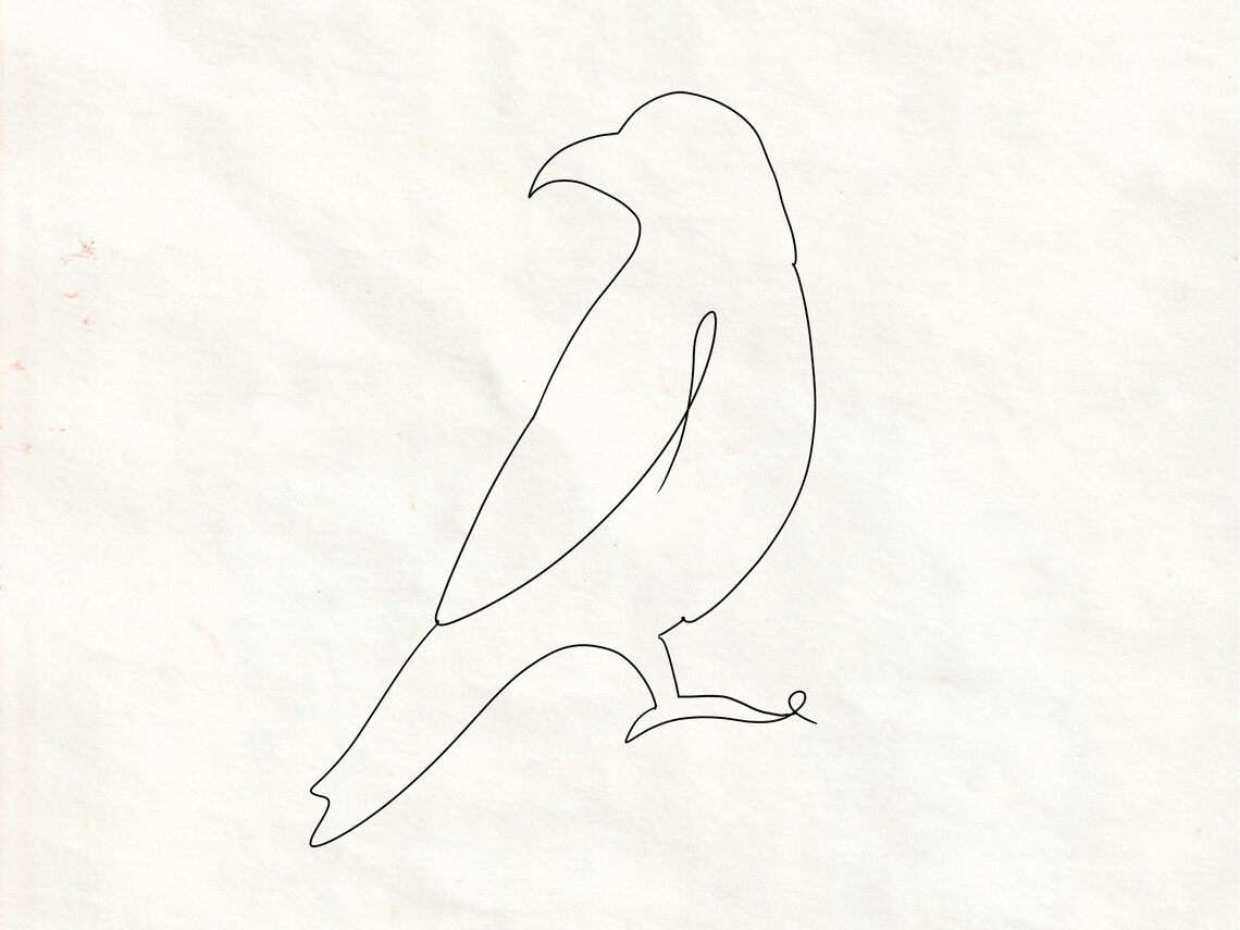 Raven Outline SVG, Bird Svg, Bird Outline Svg, Line Art, Raven PNG ...