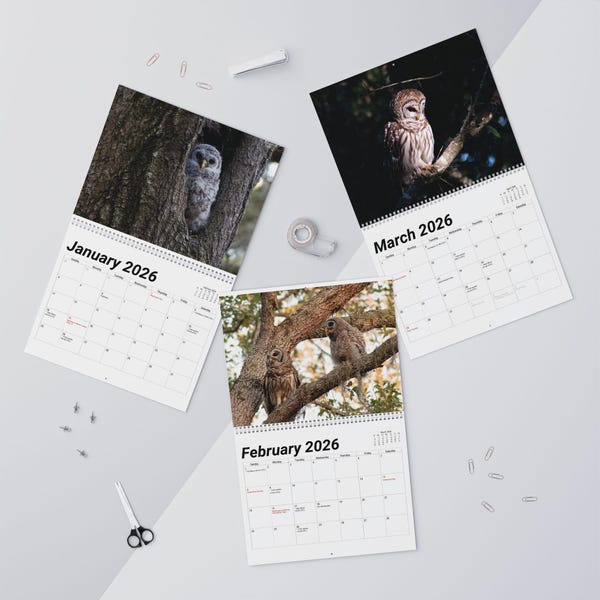 Owls 2026 Calendar - Etsy