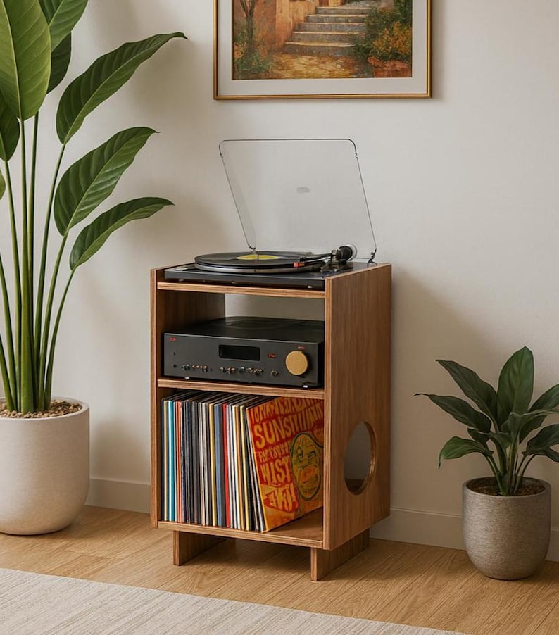 DIY Turntable Stand & Vinyl Record Storage, PDF Woodworking Plans ...