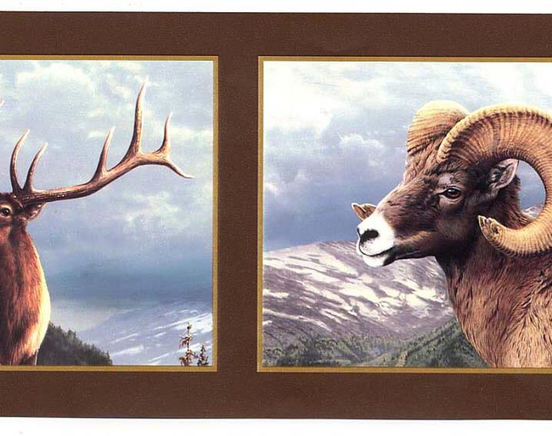 Ram, Moose, Elk Wallpaper Border Hb112113b - Etsy