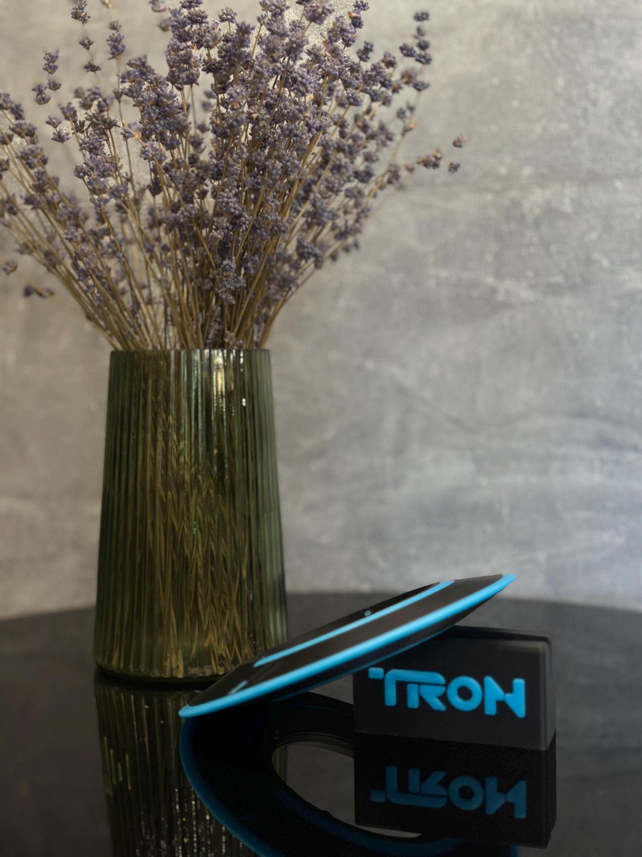 TRON Identity Disc Replica With Luminous and Regular PLA Plastic – Sci ...