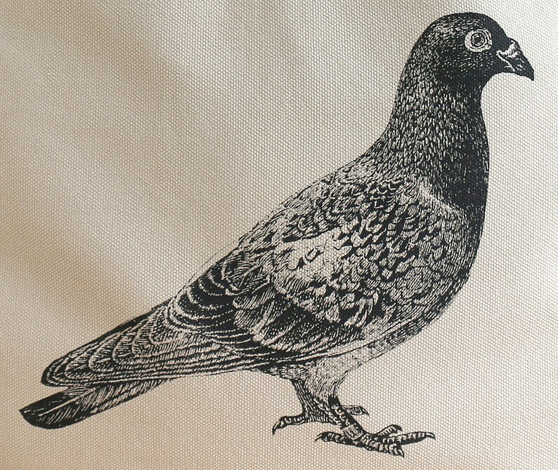 Pigeon Canvas Screen Printed Backpack Gym Bag Laptop Bag - Etsy