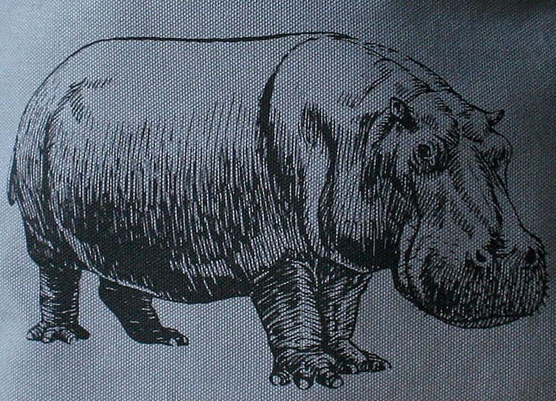 Hippo Canvas Backpack School Bag Laptop Bag | Etsy