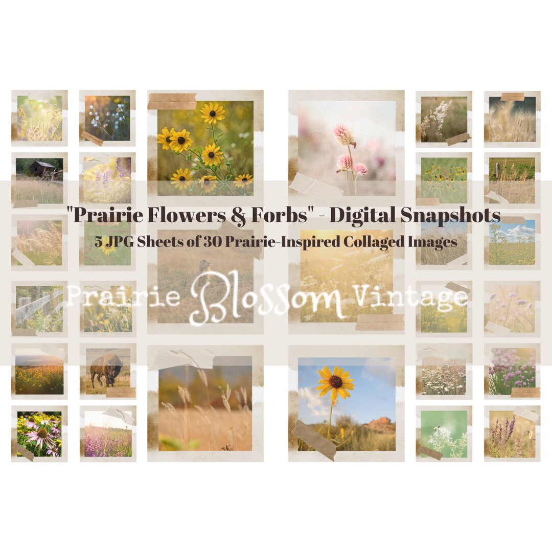 Prairie Heritage Digital Collection - "flowers & Forbs Digital ...