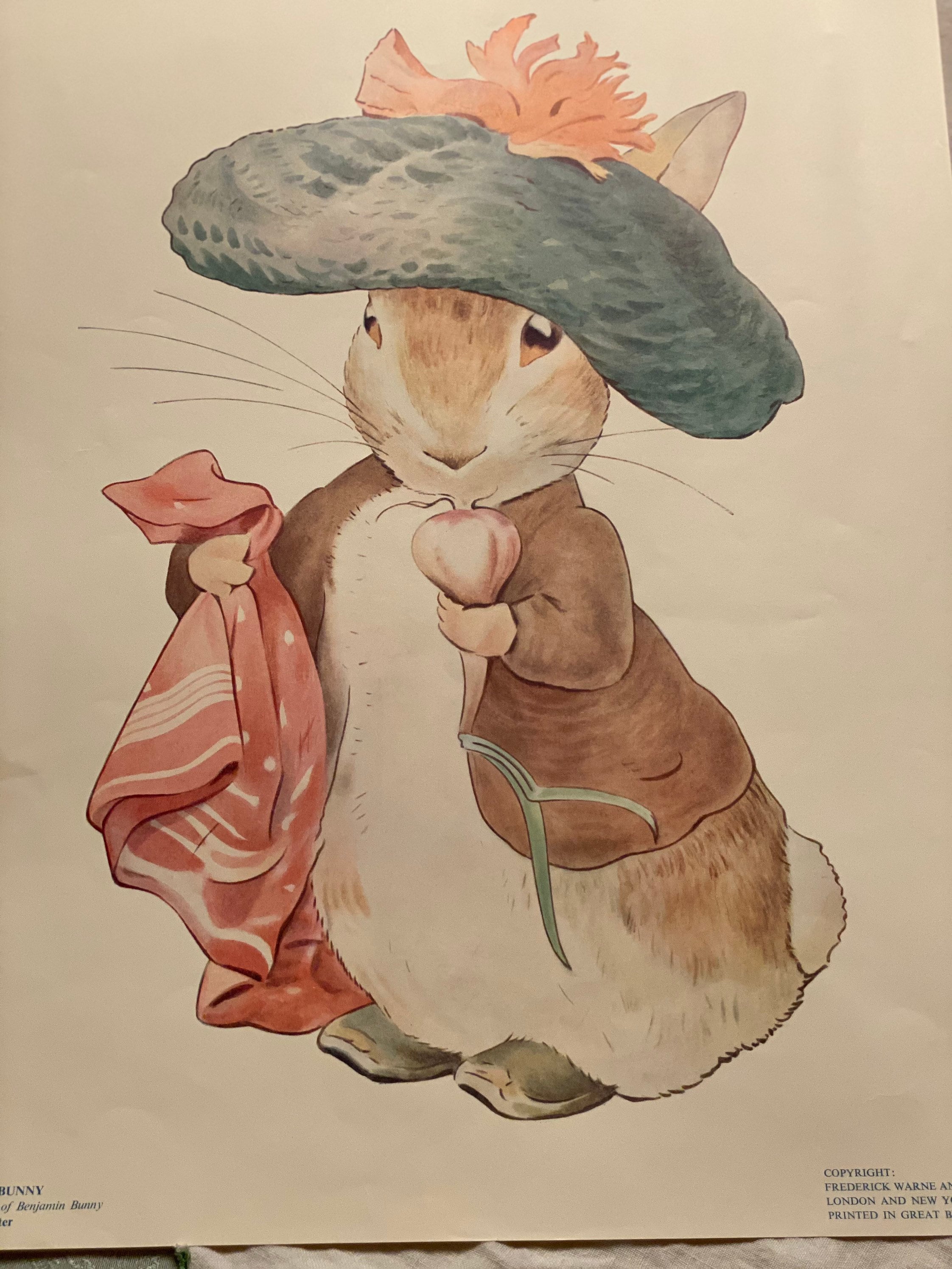 Vintage Beatrix Potter Prints Set of Six | Etsy