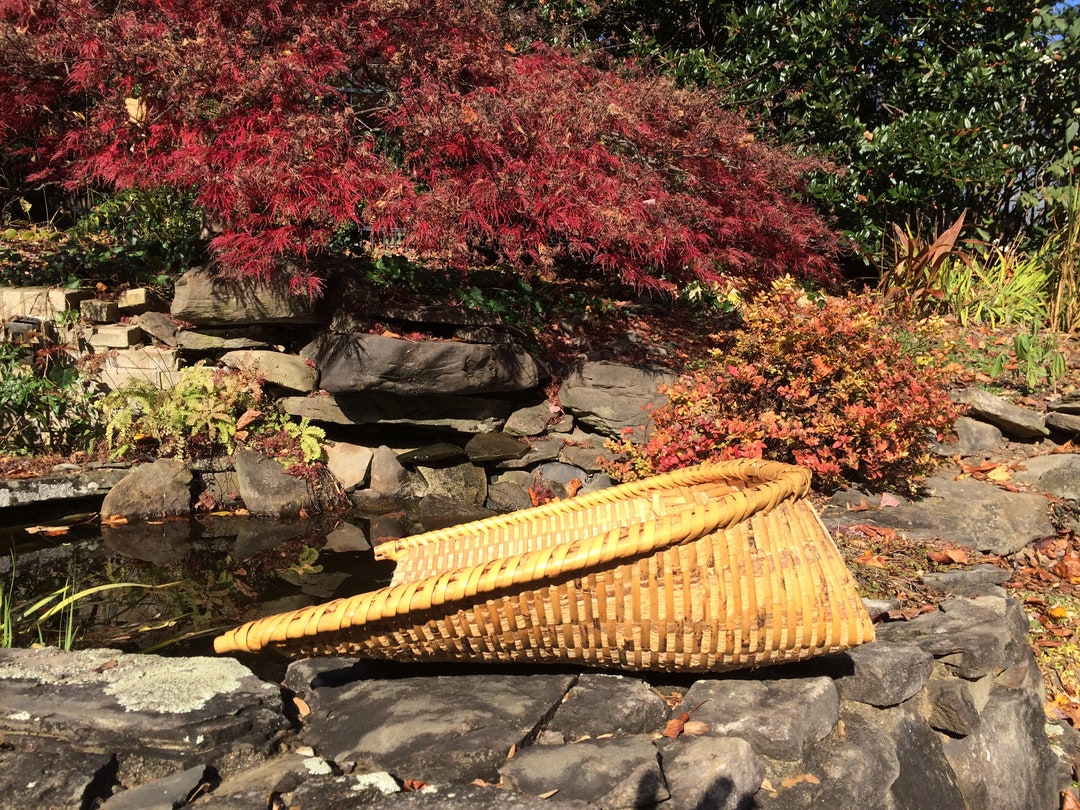Vintage Japanese Woven Bamboo Rice Winnowing Basket (fujimi) - Etsy