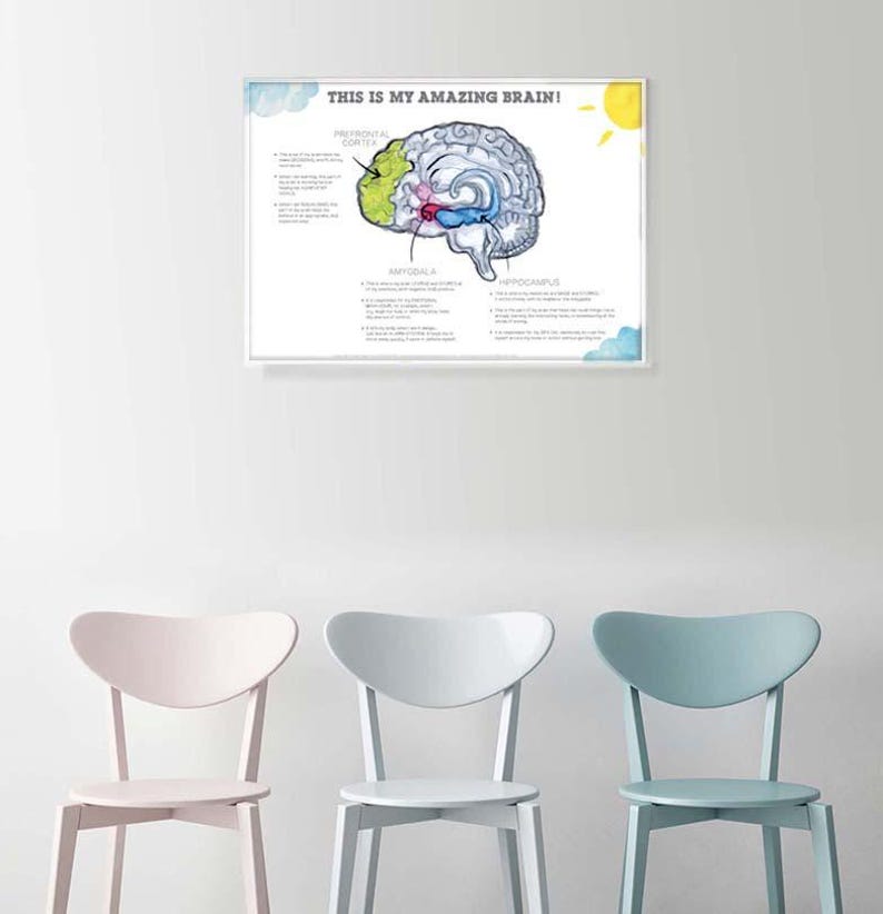 Printable Limbic System Brain Poster: Psychology Tool, Mental Health ...