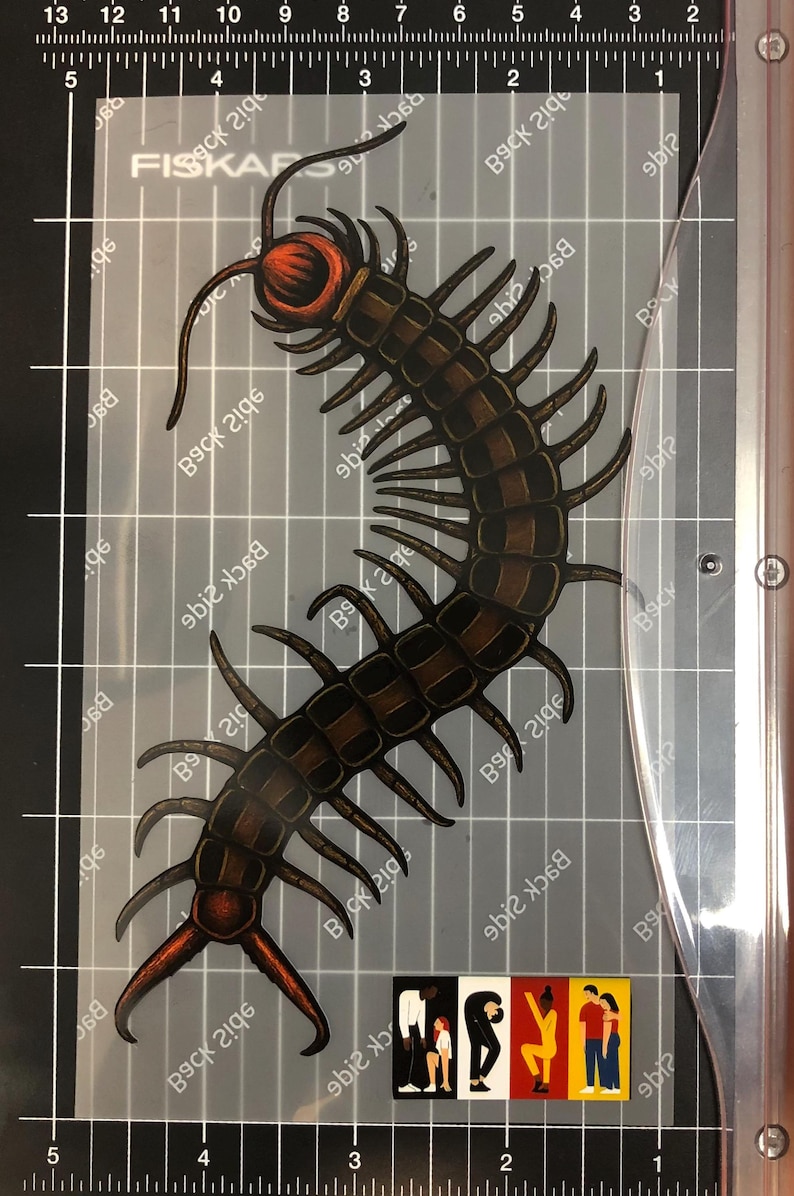 Realistic Centipede Sticker • Dark Entomology Art, Creepy Bug Decal - Etsy