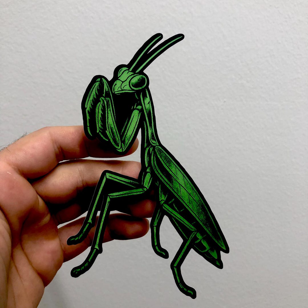 Green Praying Mantis Vinyl Sticker – Gothic Insect Art Decal - Etsy