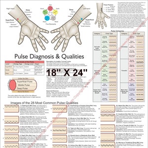 Pulse Diagnosis Acupuncture Poster TCM Chinese Medicine Paper Folded 18 ...
