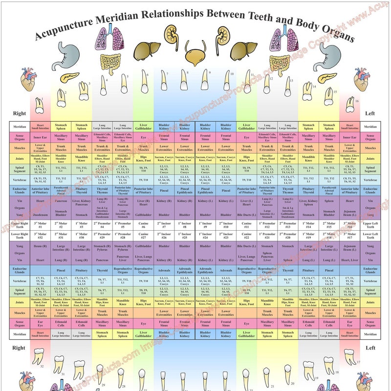 Meridian Chart - Etsy
