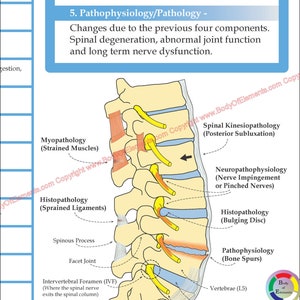 Vertebral Subluxation Effects Complex Spinal Degeneration Poster Cervical Lumbar Spine ...