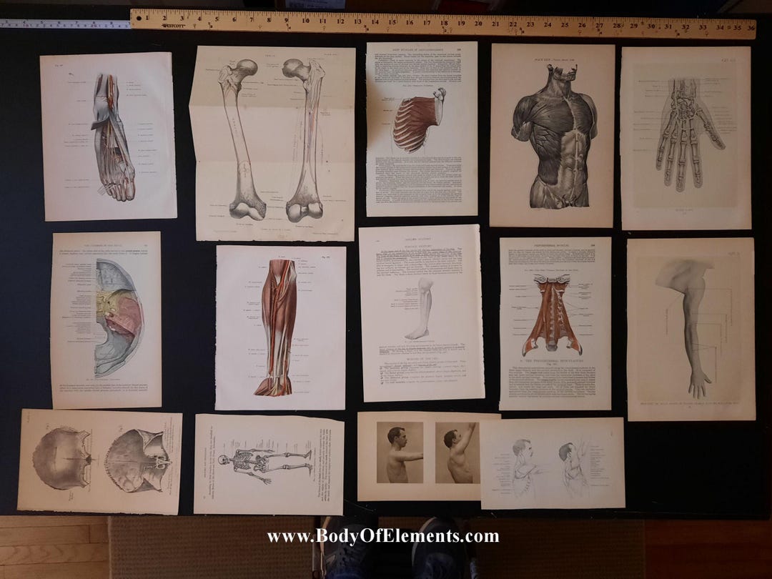 Vintage Medical Ephemera Original Prints Junk Journal Book Pages ...