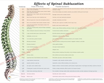 Lumbar Spinal Vertebrae Disc Degeneration Chiropractic Poster 18 X 24 Spine Wall Chart Paper or ...