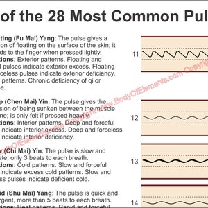 Pulse Diagnosis Acupuncture Poster TCM Chinese Medicine Paper Folded 18 ...