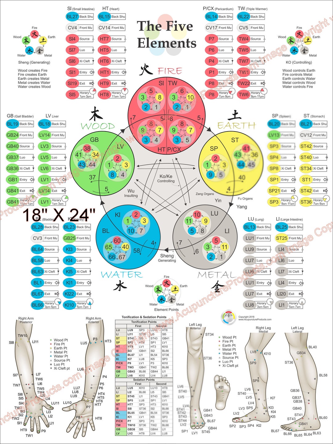Five Elements Theory 60 Shu Command Points Acupuncture Poster 18" X 24 ...