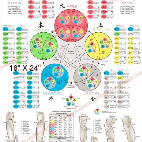 Acupuncture Poster - Etsy