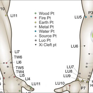 Five Elements Theory 60 Shu Command Points Acupuncture Poster 18" X 24 ...