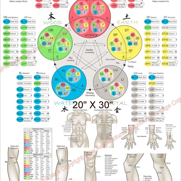 Acupuncture Points Chart - Etsy