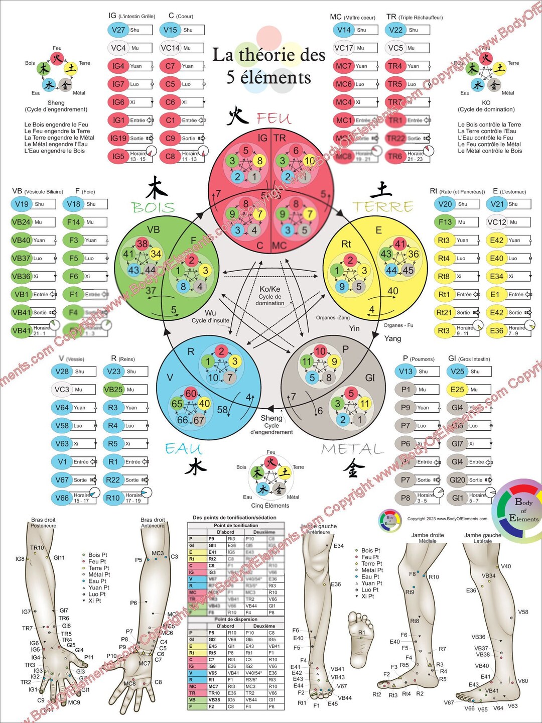 French Five Elements Theory La Théorie Des Cinq Éléments 60 Shu Command ...