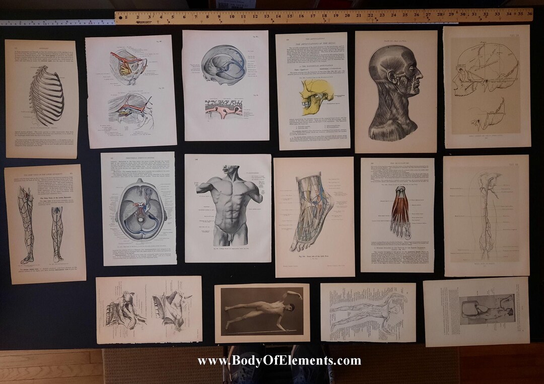 Vintage Medical Ephemera Original Prints Junk Journal Book Pages ...