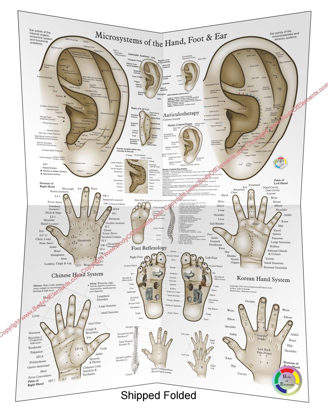 Acupuncture Microsystem Poster Hand Ear Auriculotherapy Foot TCM Chart ...
