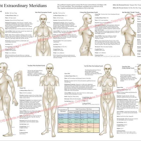 Meridian Poster - Etsy
