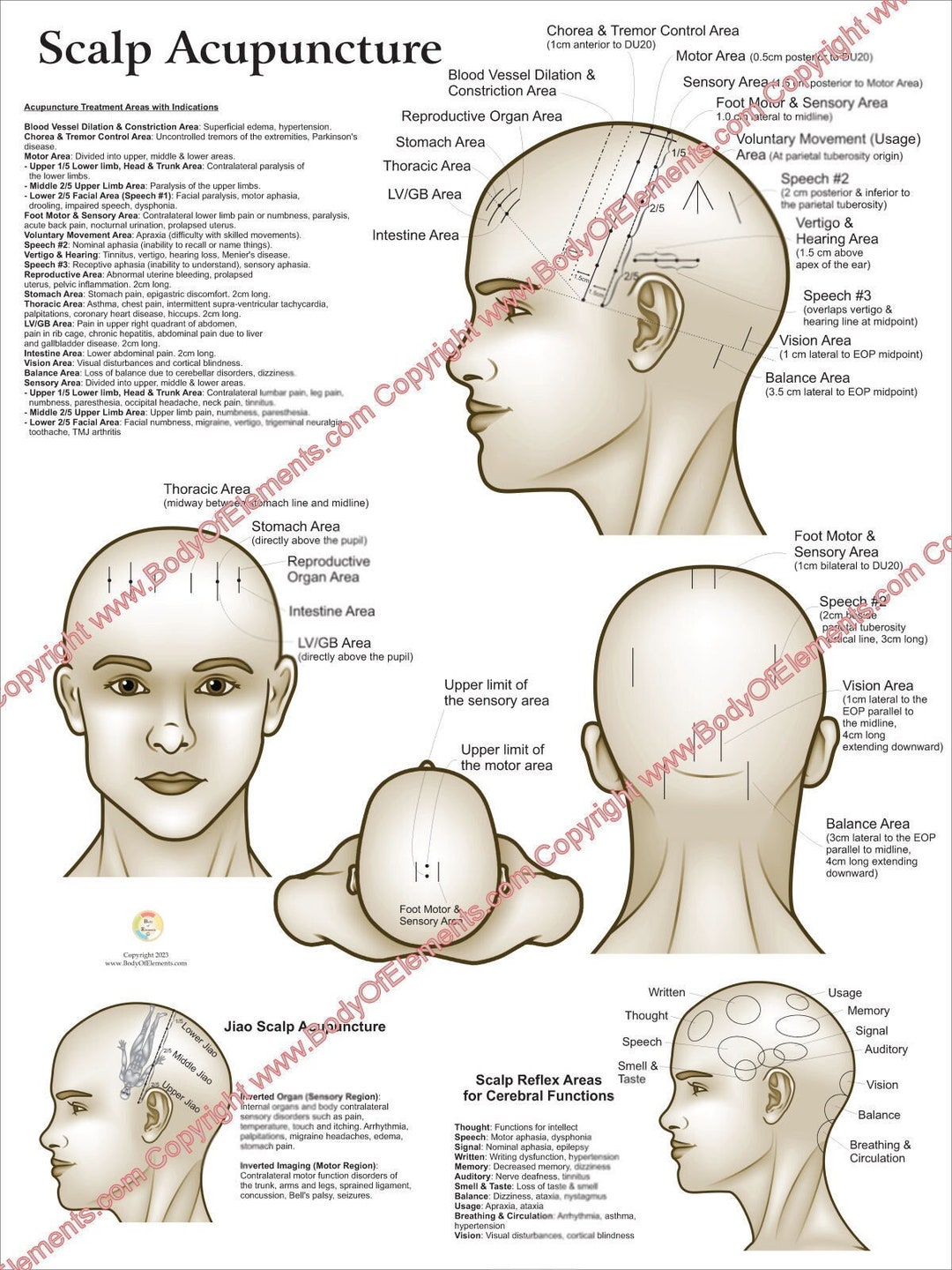 Scalp Acupuncture Points Areas Poster 18" X 24" Laminated or Paper Chinese Medicine TCM - Etsy