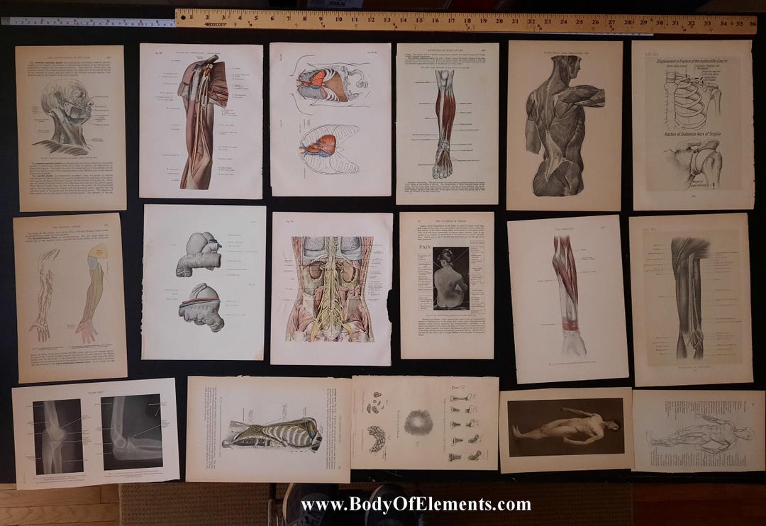 Vintage Medical Ephemera Original Prints Junk Journal Book Pages ...