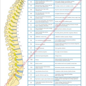 Effects and Symptoms of Spinal Vertebral Subluxation Chiropractic ...