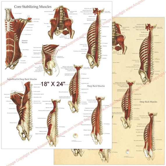 Intrinsic Core Stabilizers