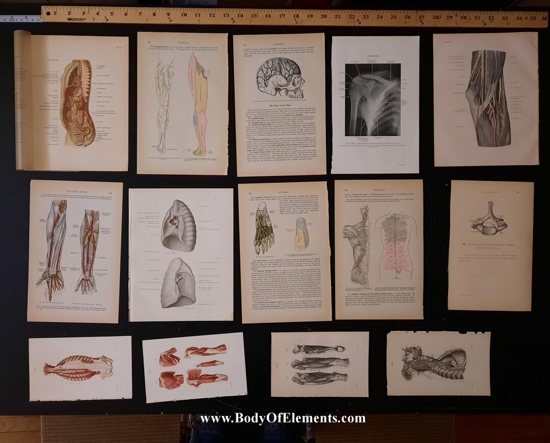 Vintage Medical Ephemera Original Prints Junk Journal Book Pages ...