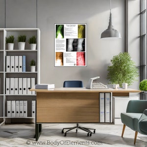 Lumbar Spinal Vertebrae Disc Degeneration Chiropractic Poster - 18" X ...