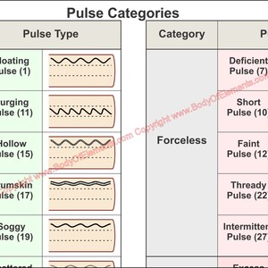 Pulse Diagnosis Acupuncture Poster TCM Chinese Medicine Paper Folded 18 ...
