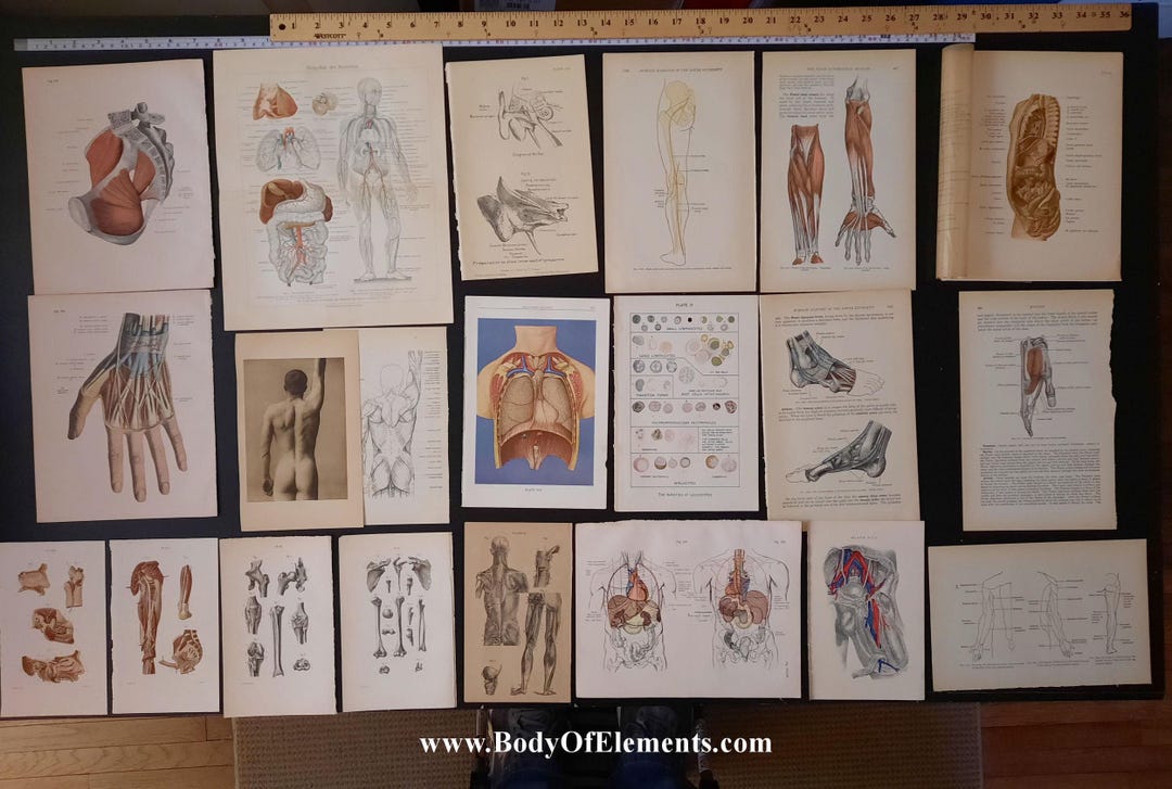 Vintage Medical Ephemera Original Prints Junk Journal Book Pages ...