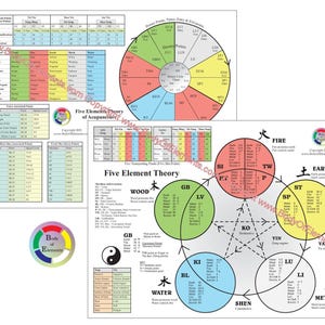 3 Acupuncture 8.5" X 11" Student Study Chart Set Auriculotherapy Five ...