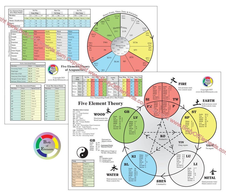 3 Acupuncture 8.5" X 11" Student Study Chart Set Auriculotherapy Five ...