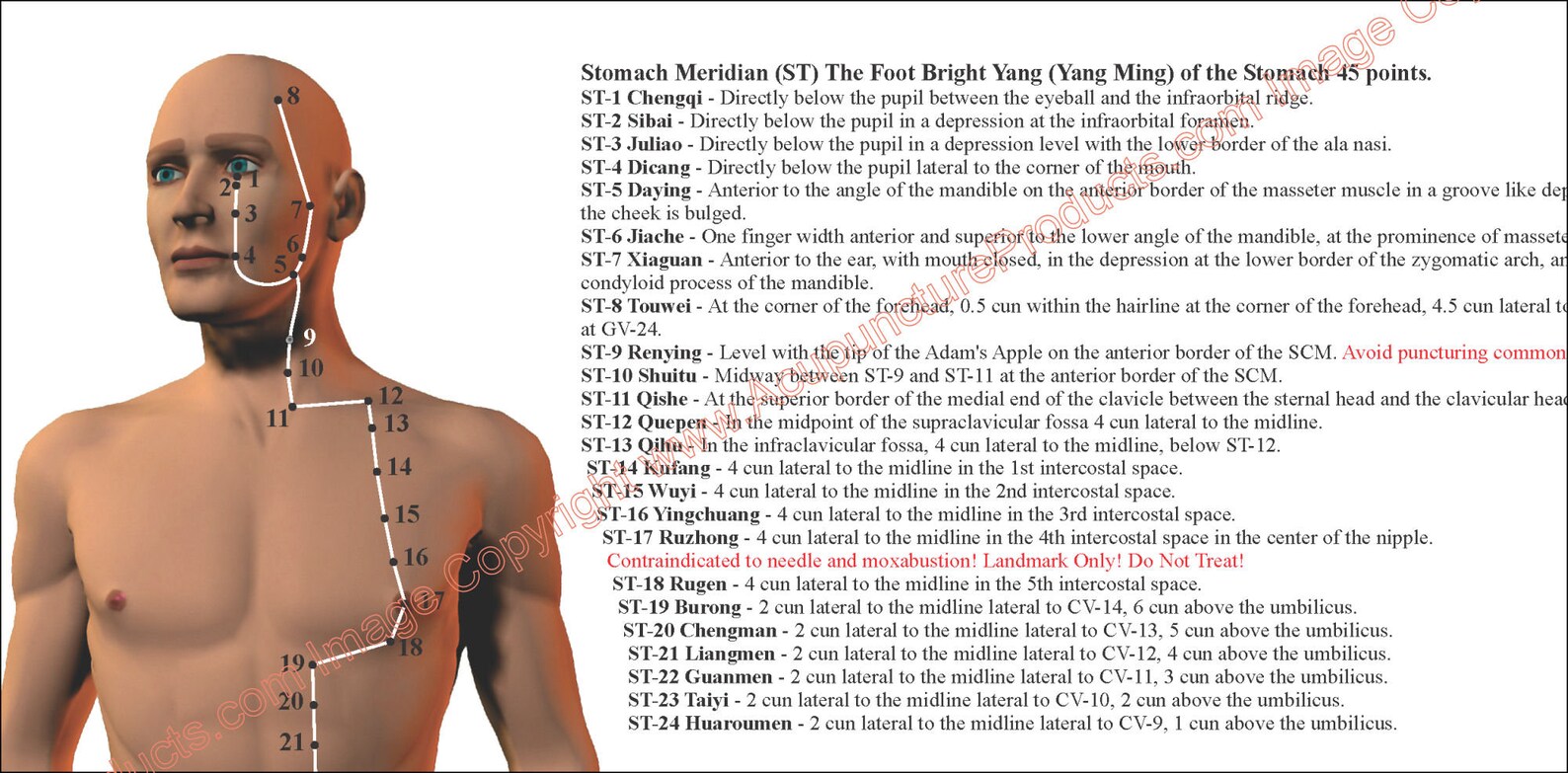 2 Acupuncture Meridian Point Locations and Pathways Poster - Etsy