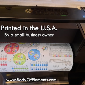 Shiatsu Chart of Acupuncture Meridians and Hara Diagnosis Poster 18" X ...