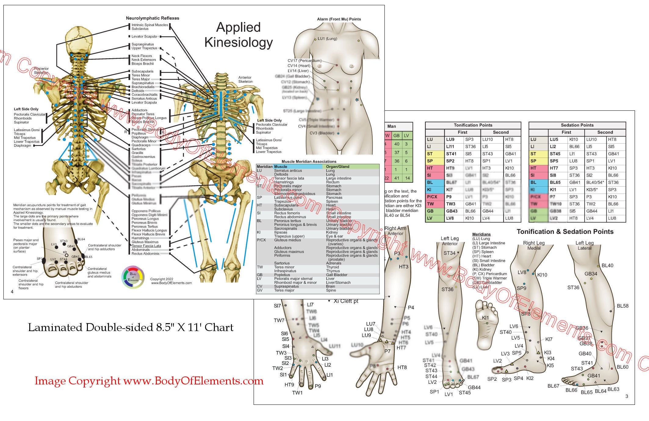 Applied Kinesiology Chart Counselling Kinesiology Chart