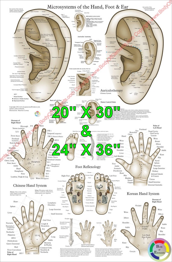 Dermatomes Foot