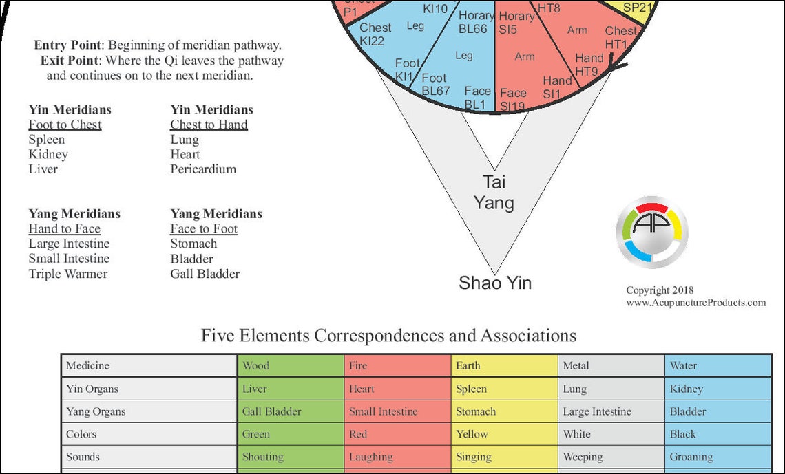 Shiatsu Chart of Acupuncture Meridians and Hara Diagnosis - Etsy Australia