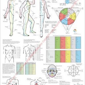 Shiatsu Chart of Acupuncture Meridians and Hara Diagnosis Poster 18" X ...