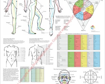 Acupressure Reflexology Chart With Precise Hand Diagrams. Professional Print. - Etsy
