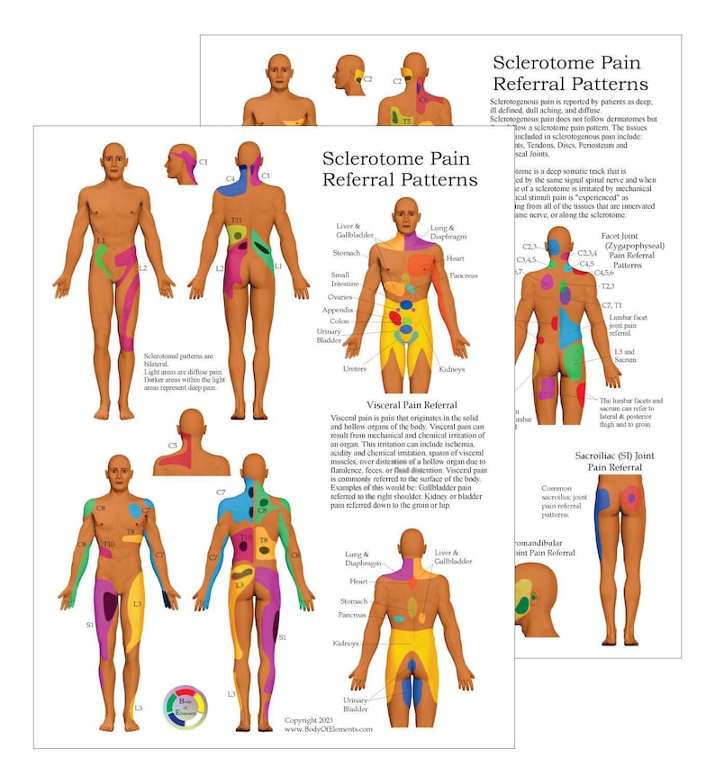 Set of 2 Charts Dermatomes Myotomes Chiropractic Nerves Medical ...