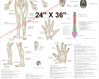 Acupressure Reflexology Chart With Precise Hand Diagrams. - Etsy Canada