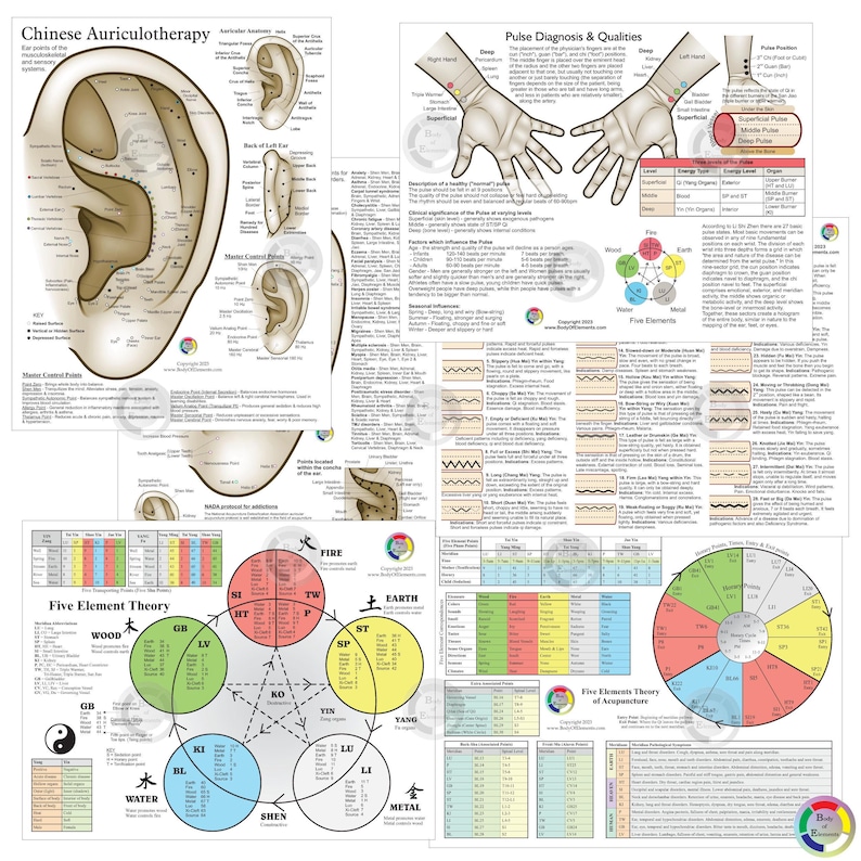 3 Acupuncture 8.5" X 11" Student Study Chart Set Auriculotherapy Five ...