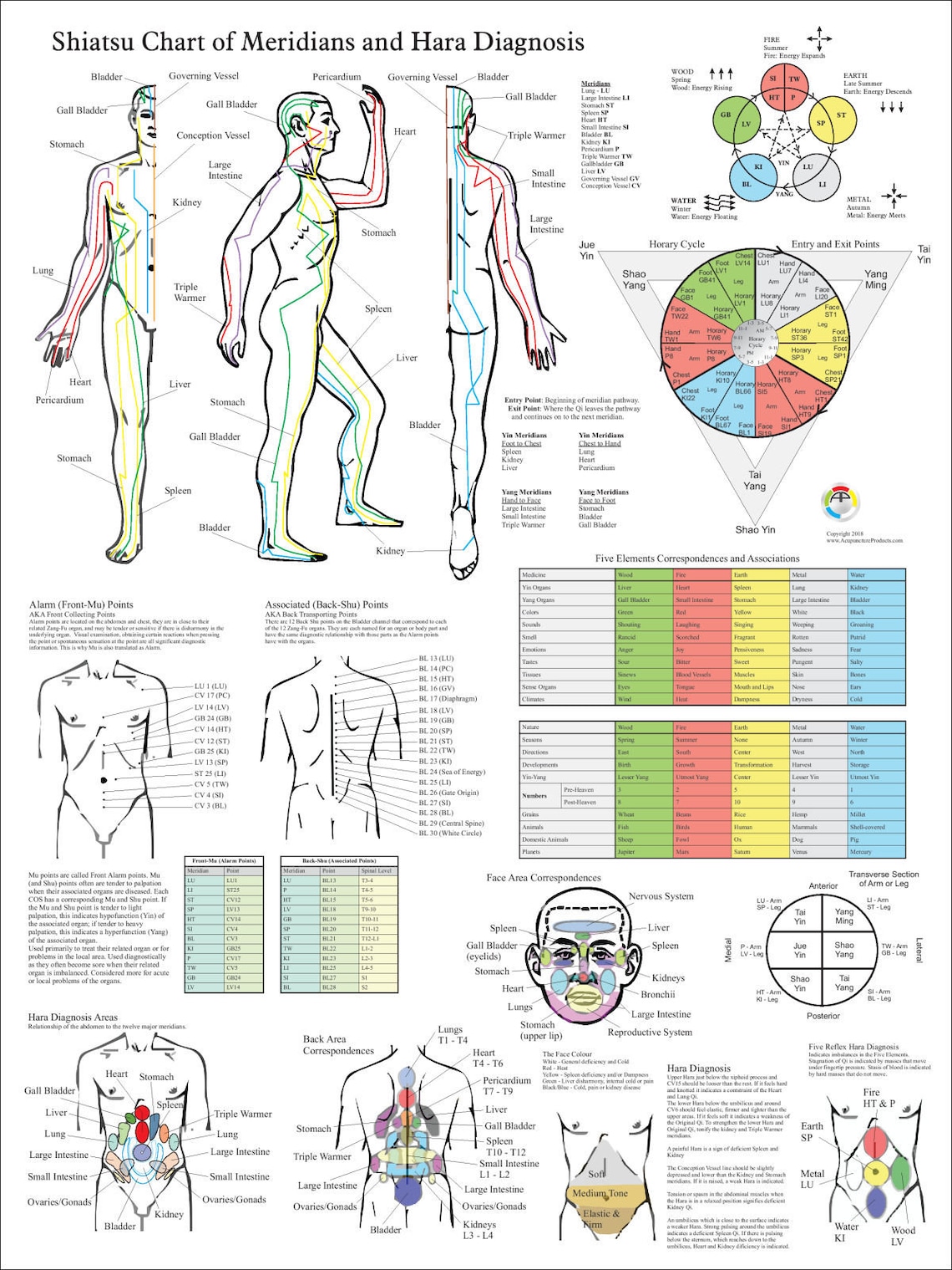 Shiatsu Chart of Acupuncture Meridians and Hara Diagnosis - Etsy Australia